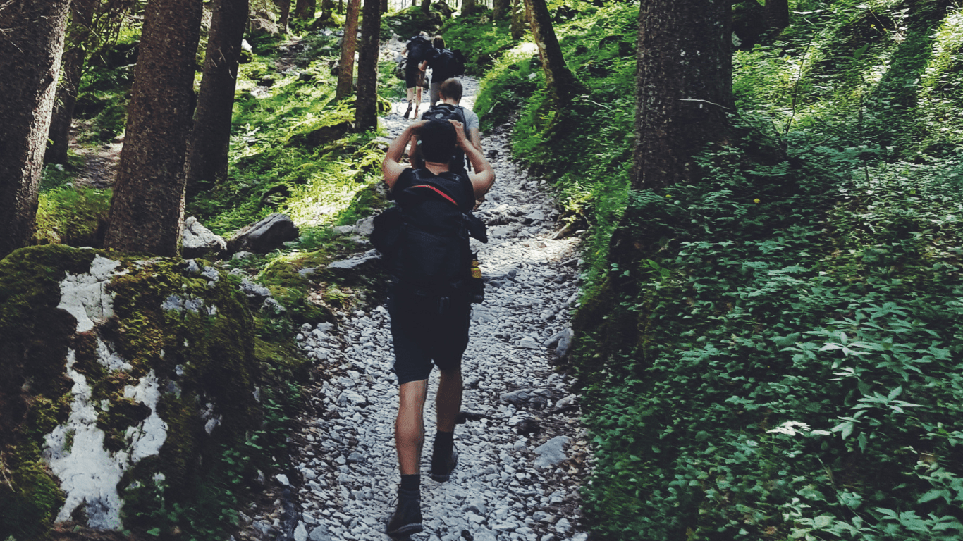 Top 10 Scenic Hiking Trails You Need to Explore for Unforgettable ...